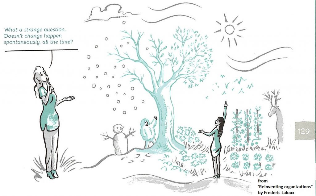 Reinventing Organizations by Frederic Laloux - ReModel International